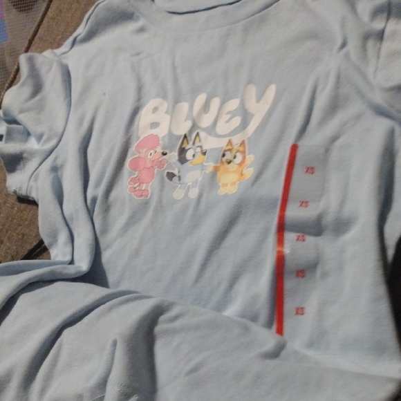 Bluey | Tops | Nwt Bluey Adult Graphic Tshirt Size Xs | Poshmark
